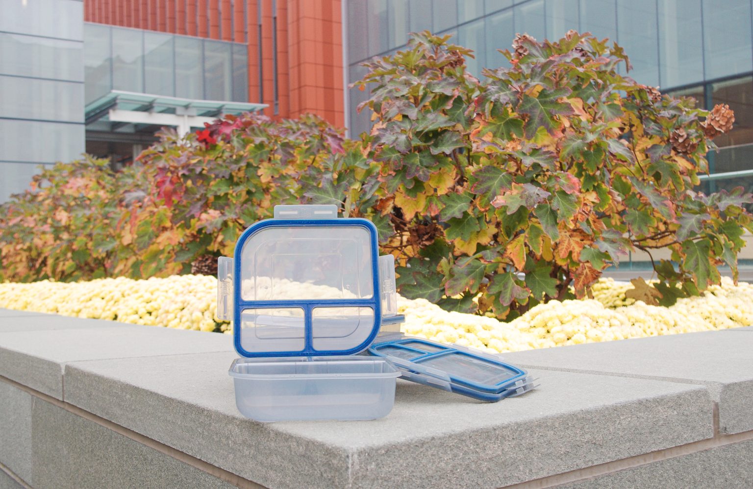 M|Dining To Go | M|Dining